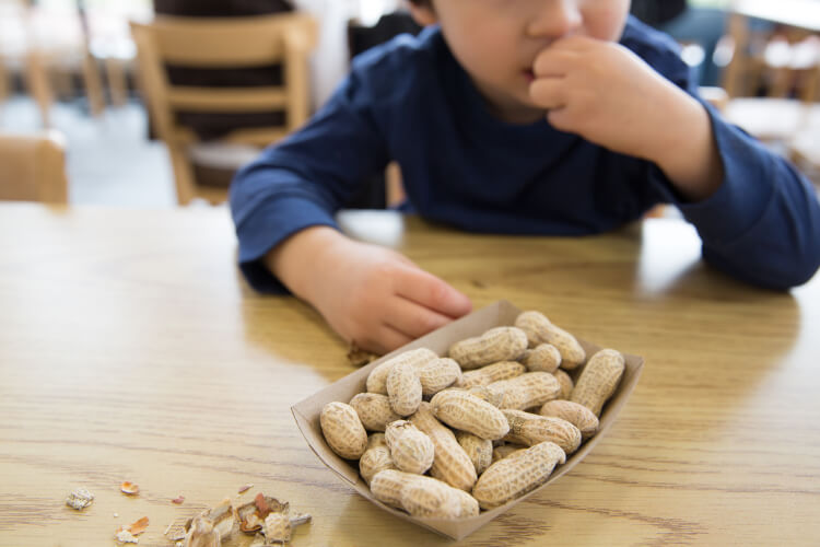 In a Nutshell – What You Need to Understand about Peanut Allergies ...